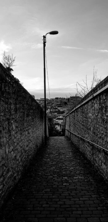Les Dunes Cachées – The Last Time We Watered the Plants: UPEI Arts ...