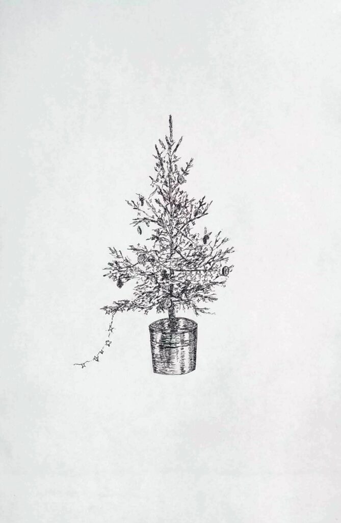 Closing Endpage – The Last Time We Watered the Plants: UPEI Arts Review ...