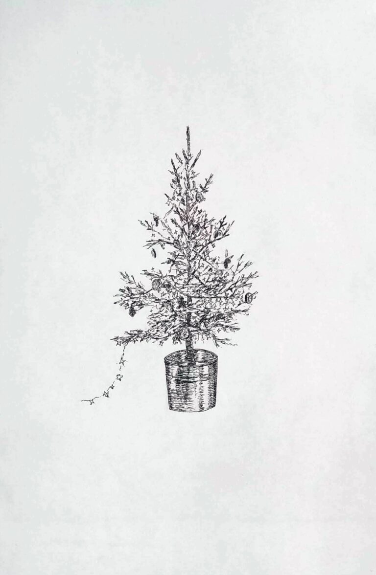 Closing Endpage – The Last Time We Watered the Plants: UPEI Arts Review ...