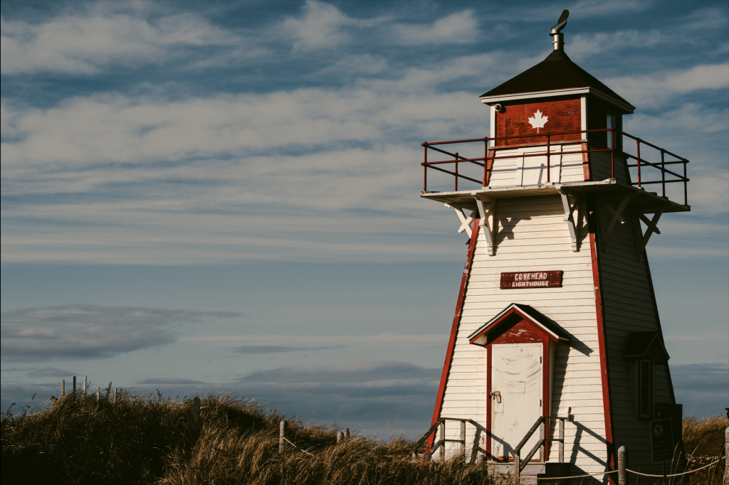 Finding My Direction – Phylum