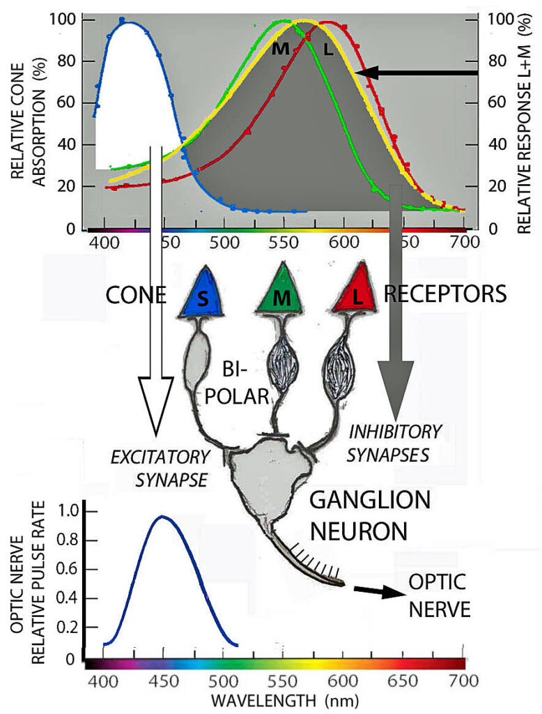 ANOTHER PROBLEM WITH PHOTONS: – Glance at the Dance of Photons