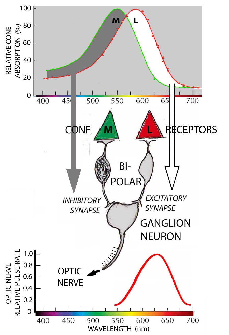 ANOTHER PROBLEM WITH PHOTONS: – Glance at the Dance of Photons