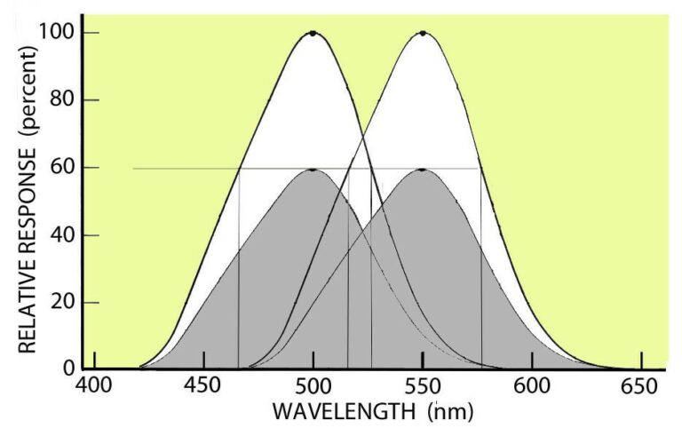 DISTINGUISHING PHOTON WAVELENGTH – Glance at the Dance of Photons