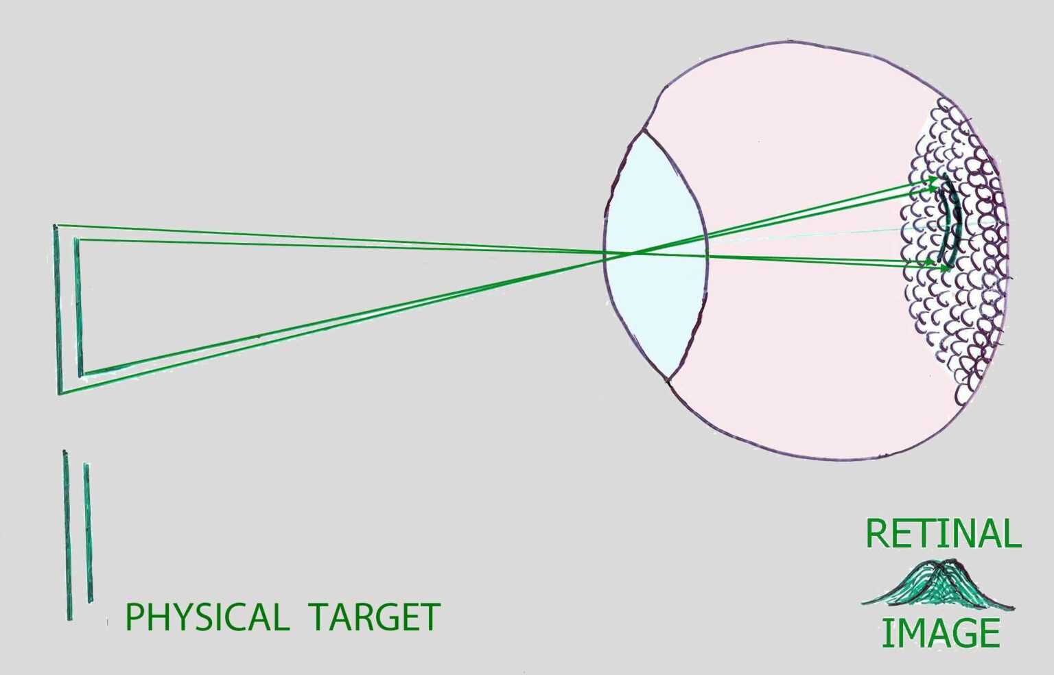BEYOND PHOTONS, THE VISUAL IMAGE – Glance at the Dance of Photons