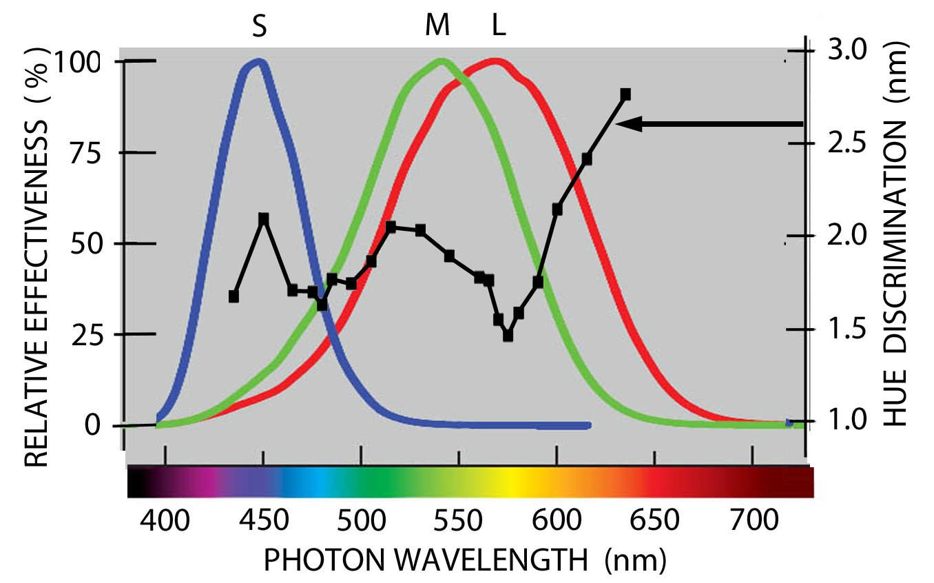 DISTINGUISHING PHOTON WAVELENGTH – Glance at the Dance of Photons
