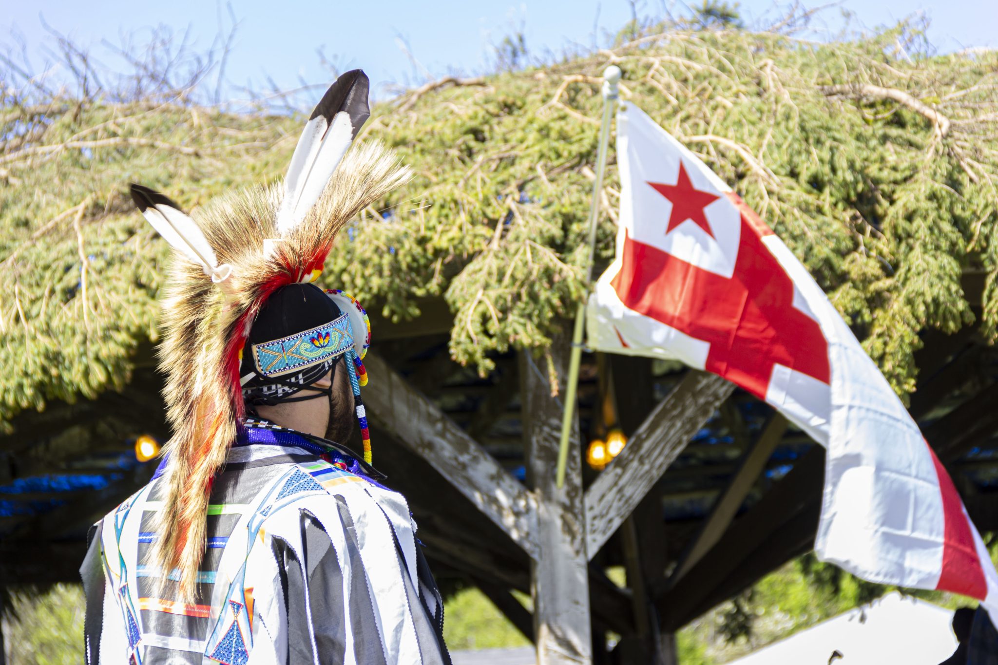 Chapter 12: Honouring Msit No’kmaq ~ Wahkohtowin ~ All our Relations ...