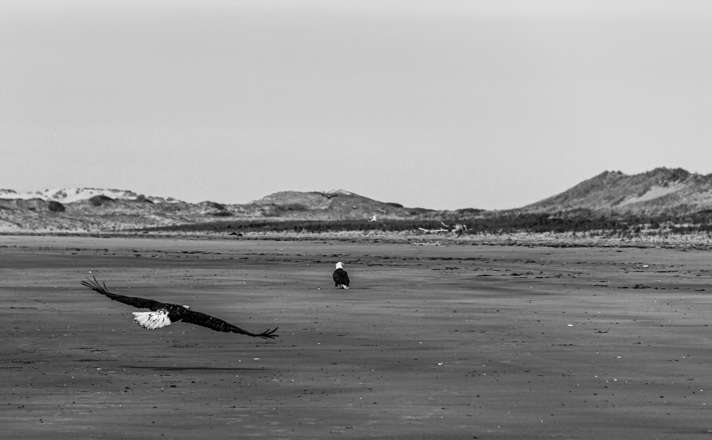 Chapter 3: Cultural Practices ~ Indigenous Ways of Knowing, Being, and ...