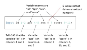 Components of a SAS Session – Applied Statistics in Healthcare Research