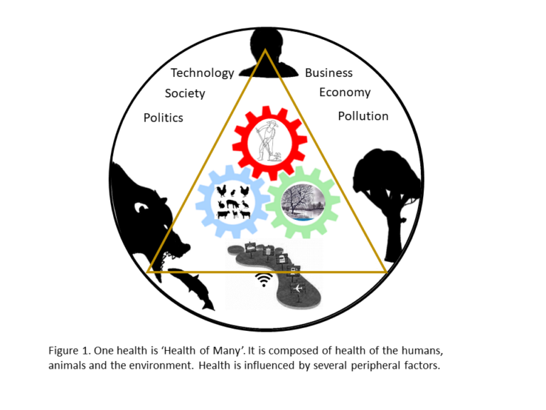 Introduction to One Health – Principles of Planetary Health