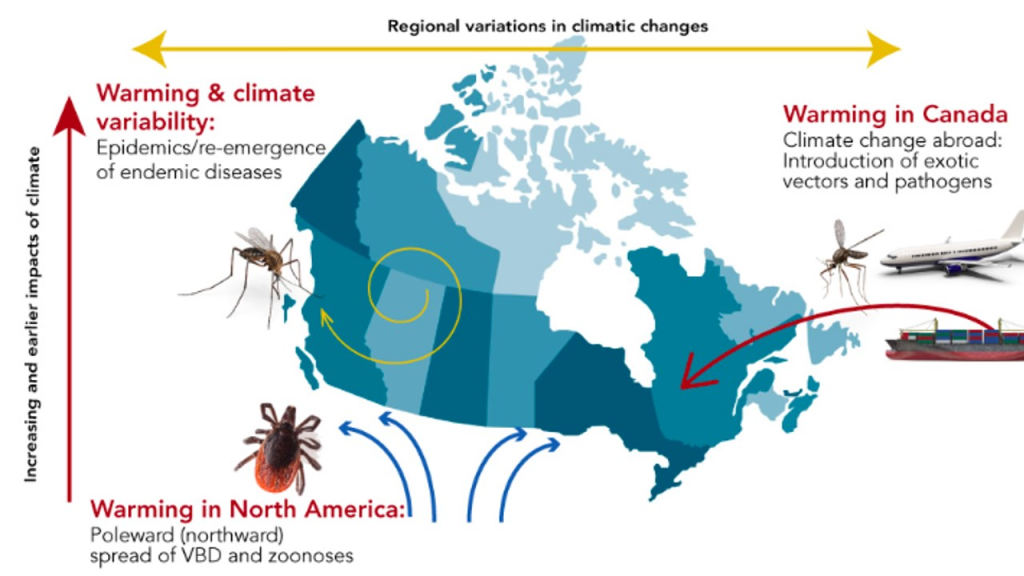Planetary Health and Infectious Diseases – Principles of Planetary Health