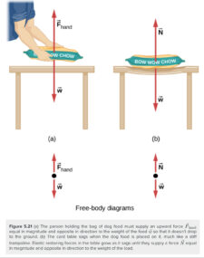 4.1 External Forces – Engineering Mechanics: Statics