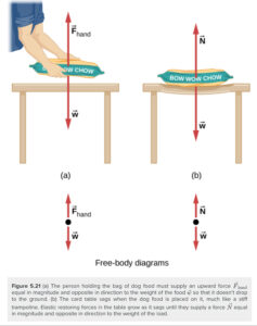 4.1 External Forces – Engineering Mechanics: Statics
