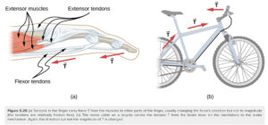 4.1 External Forces – Engineering Mechanics: Statics